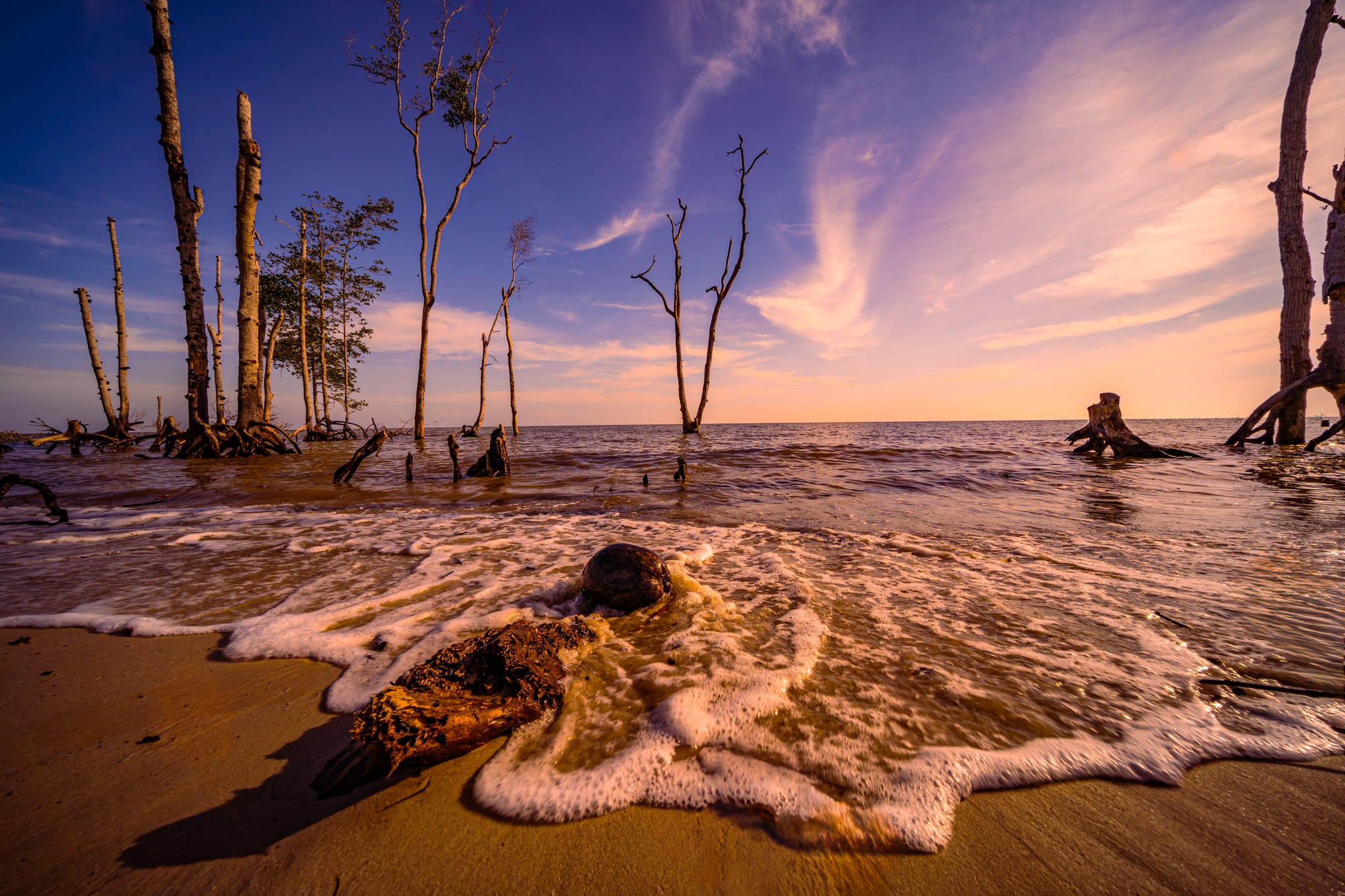 Photographic Society of Petaling Jaya - Enjoy Photography!